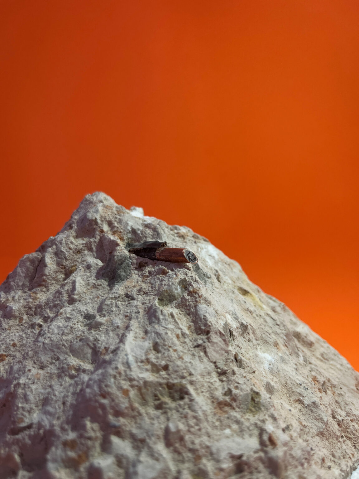 Tendencias en monitorización en la construcción - CoSMoS Engineering